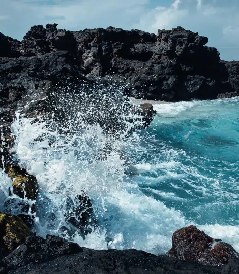 MARINE CARE CONCENTRATE – THALAC USA OFFICIAL